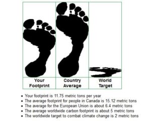 An Extensive Review of 9 Online Carbon Footprint Calculators